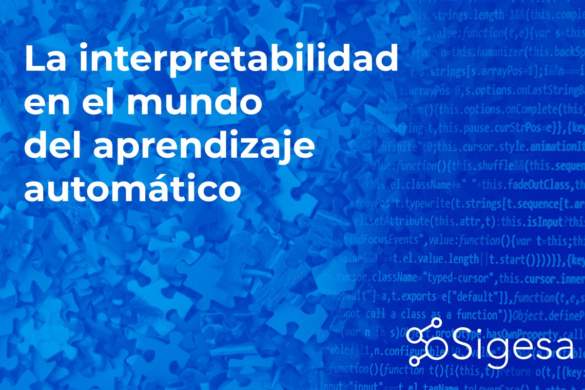 interpretabilidad – Sigesa